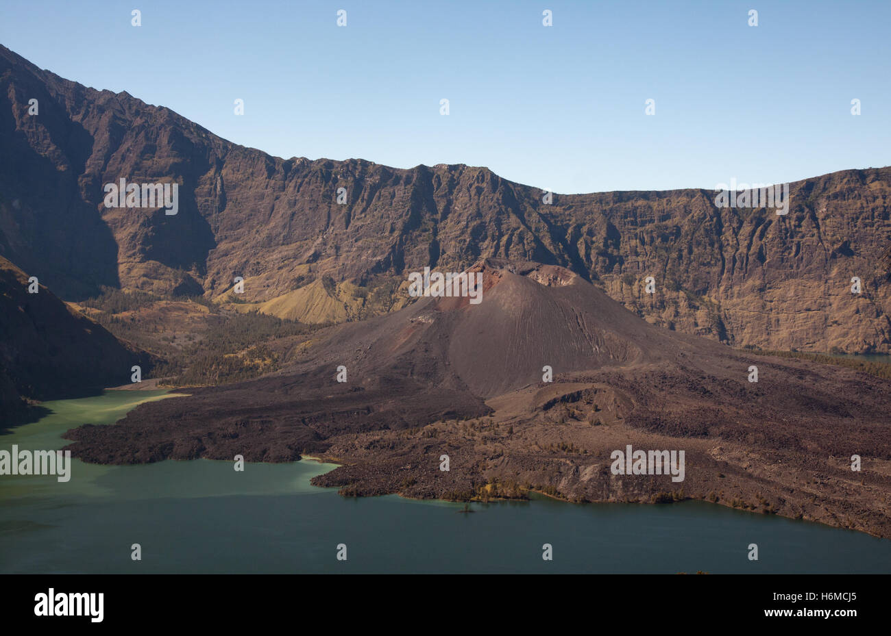 Jari river -Fotos und -Bildmaterial in hoher Auflösung – Alamy