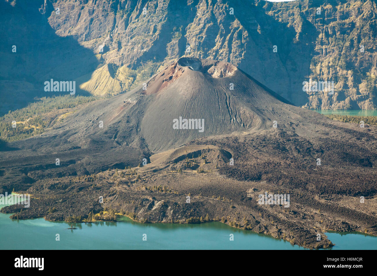 Jari river -Fotos und -Bildmaterial in hoher Auflösung – Alamy