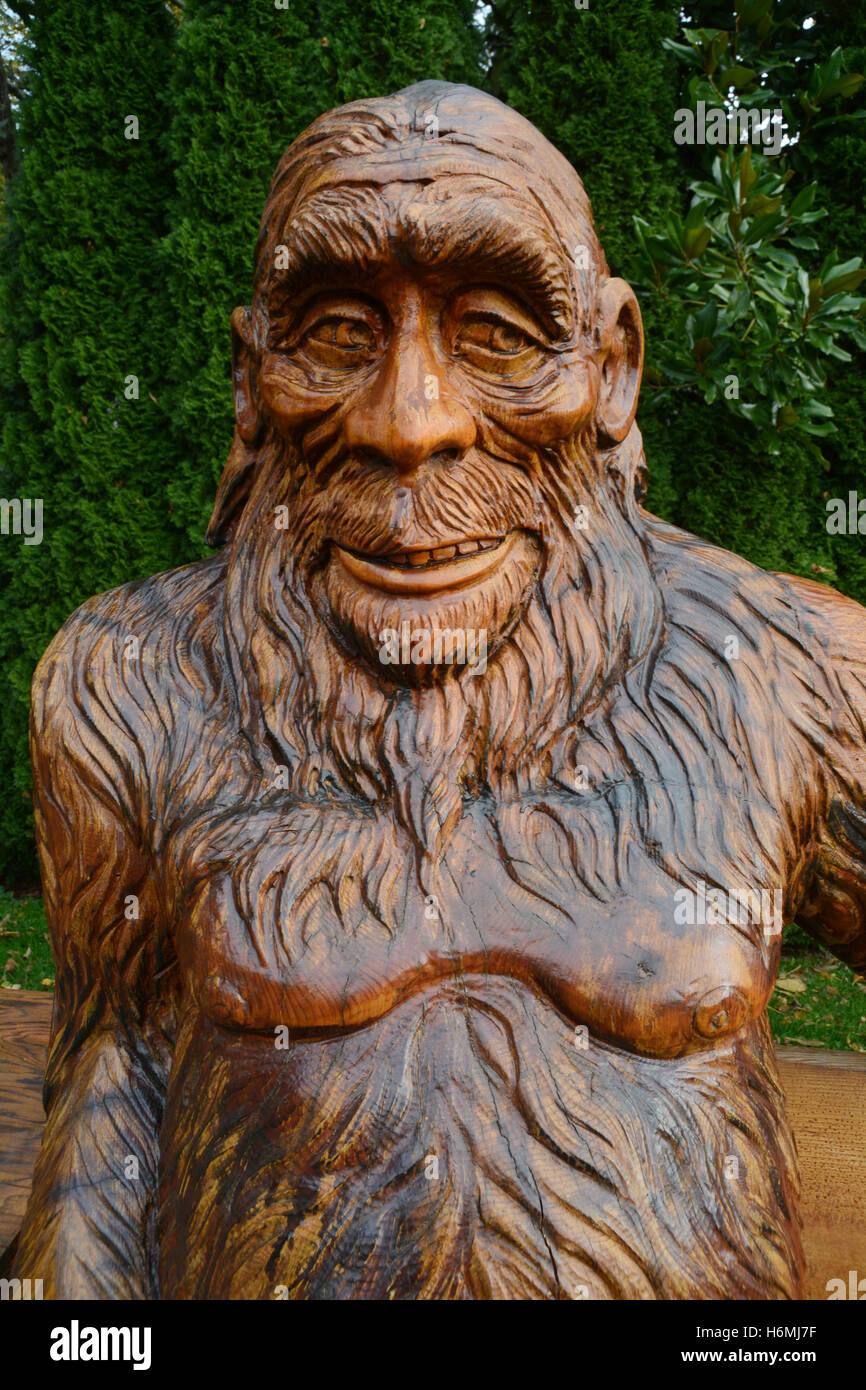 Wilder mann wilder mann -Fotos und -Bildmaterial in hoher Auflösung – Alamy