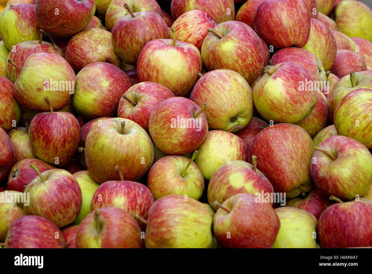 Stock photo apfelstapel -Fotos und -Bildmaterial in hoher Auflösung – Alamy