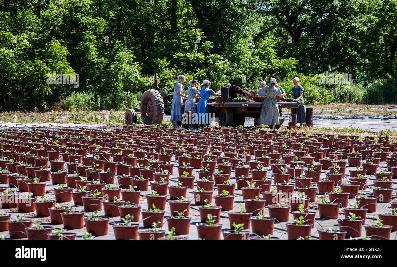 Amish People Lancaster Stockfotos und -bilder Kaufen - Alamy