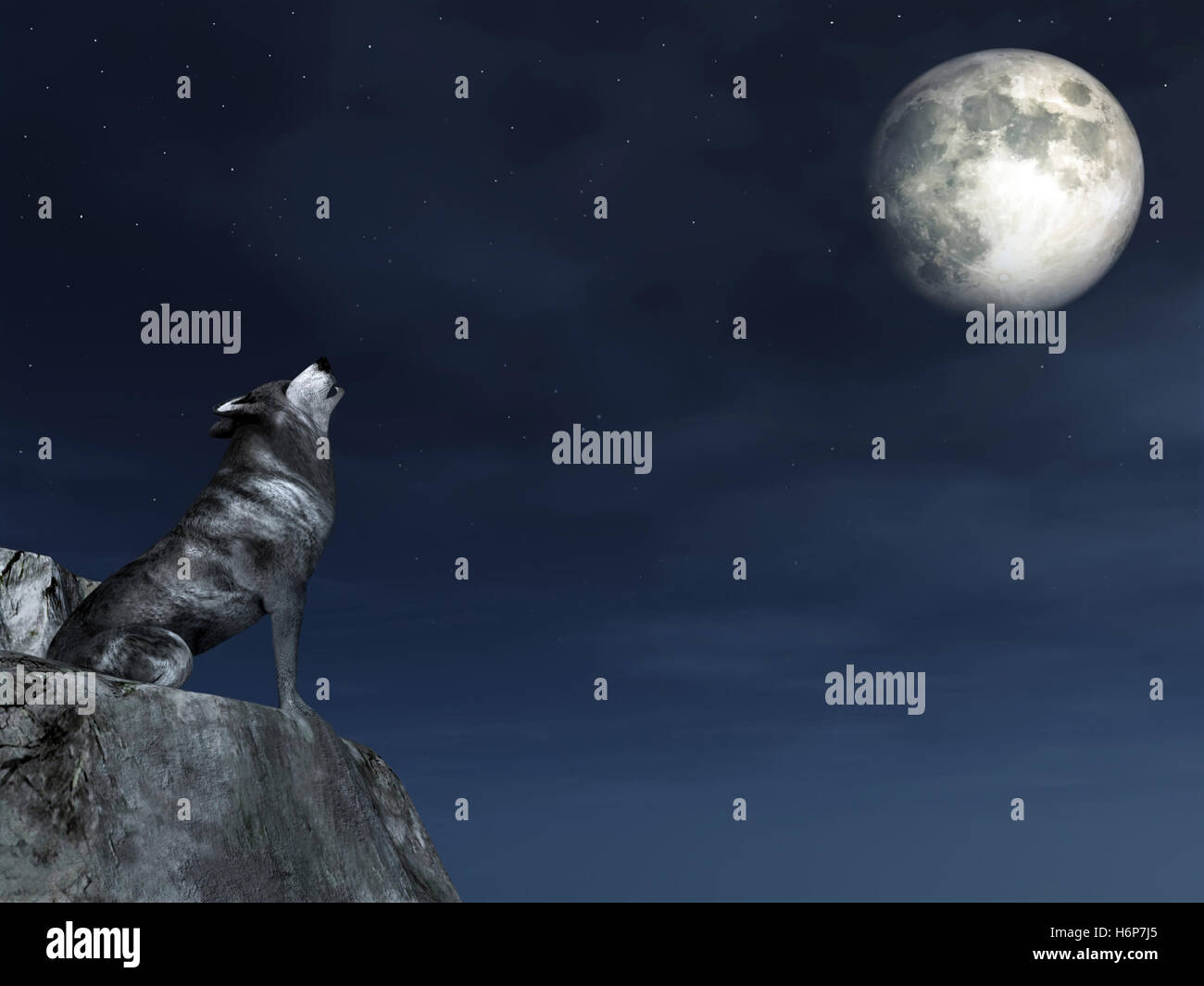 Howling Wolf Night Stockfotos und -bilder Kaufen - Alamy
