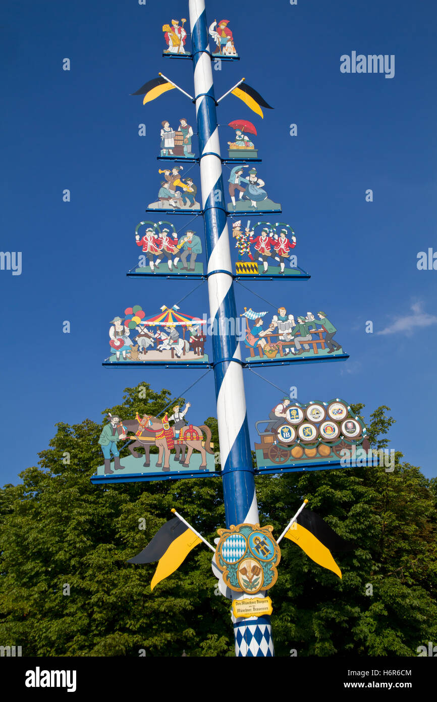 traditionelle Maibaum auf dem Viktualienmarkt in München ...