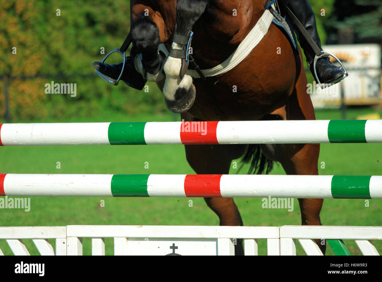Springende pferde -Fotos und -Bildmaterial in hoher Auflösung – Alamy