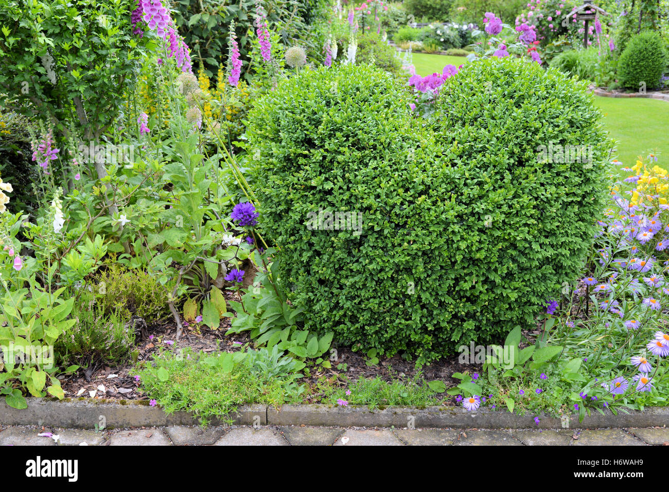Garden form -Fotos und -Bildmaterial in hoher Auflösung – Alamy