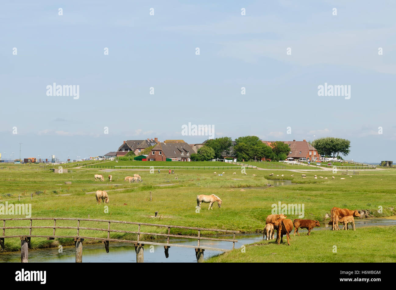 Hochsee insel -Fotos und -Bildmaterial in hoher Auflösung – Alamy