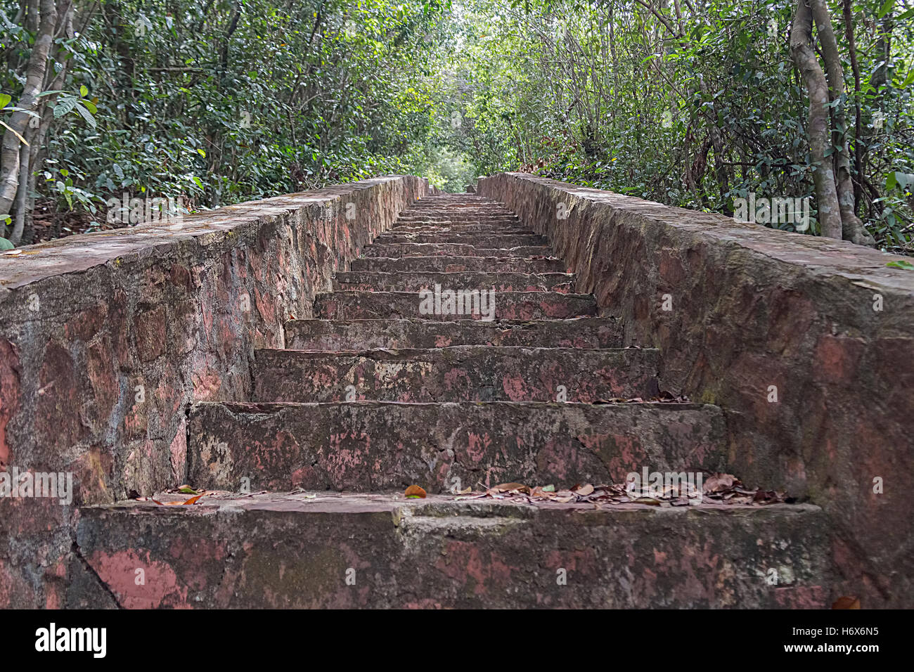 Rock step -Fotos und -Bildmaterial in hoher Auflösung – Alamy