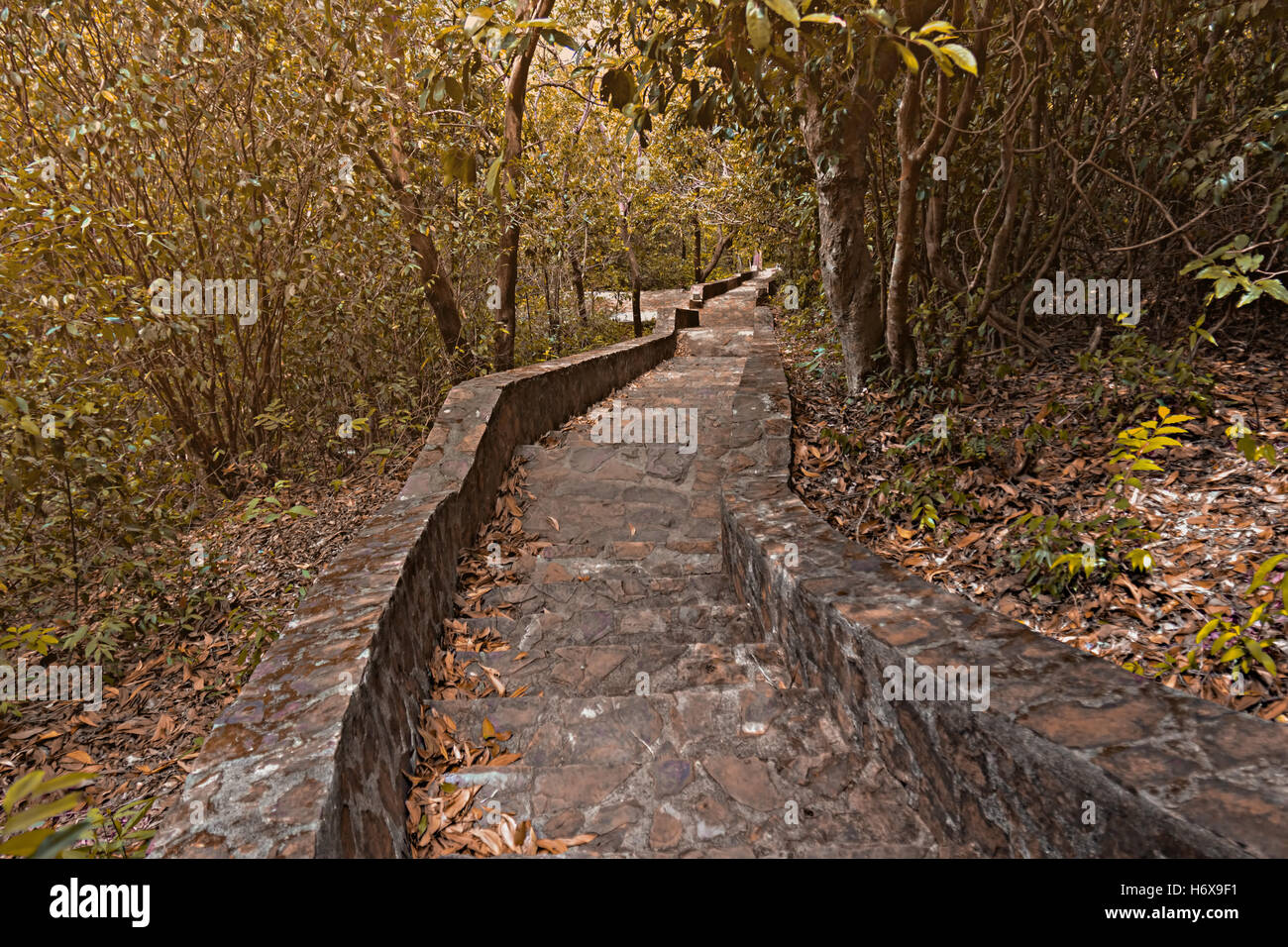 Rock step -Fotos und -Bildmaterial in hoher Auflösung – Alamy