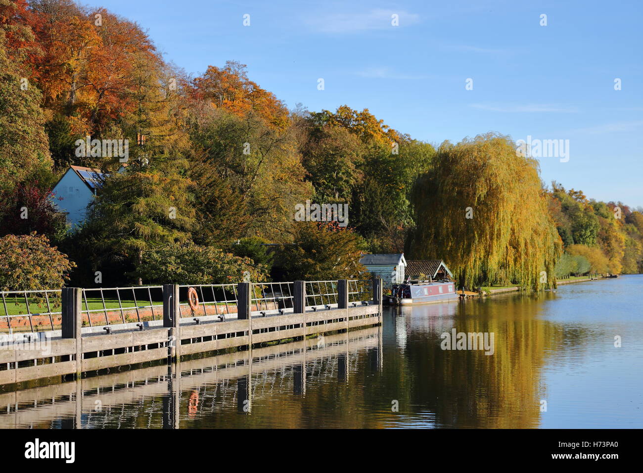 Henley einheimische -Fotos und -Bildmaterial in hoher Auflösung – Alamy
