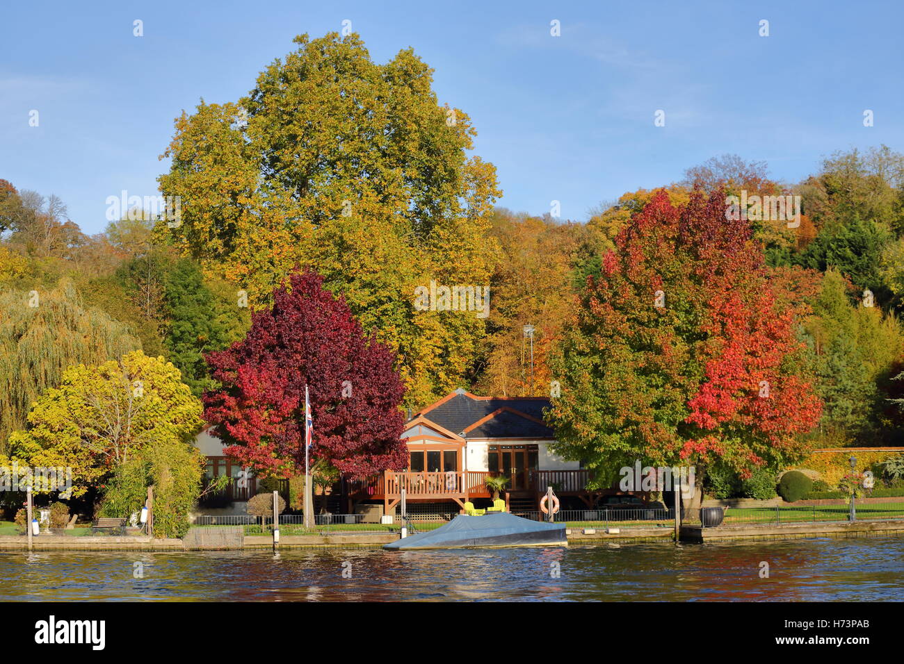 Henley einheimische -Fotos und -Bildmaterial in hoher Auflösung – Alamy