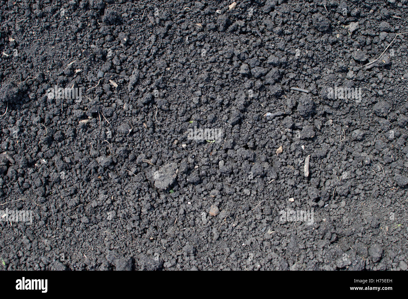 Soil texture -Fotos und -Bildmaterial in hoher Auflösung – Alamy