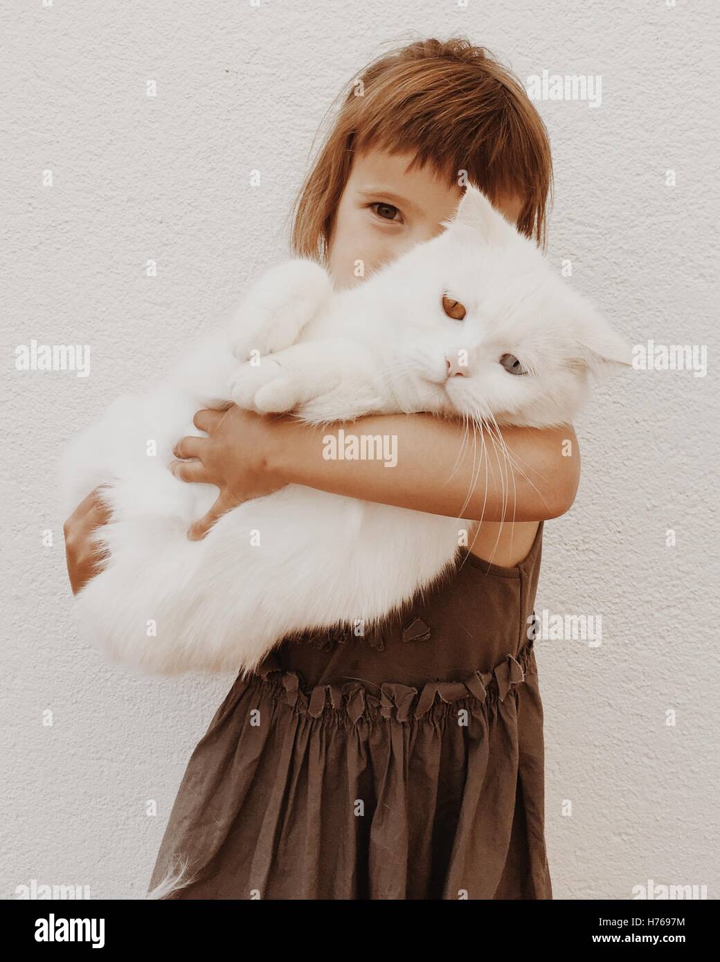 Mädchen, die ihr Haustieren Katze mit anderen farbigen Augen kuscheln ...