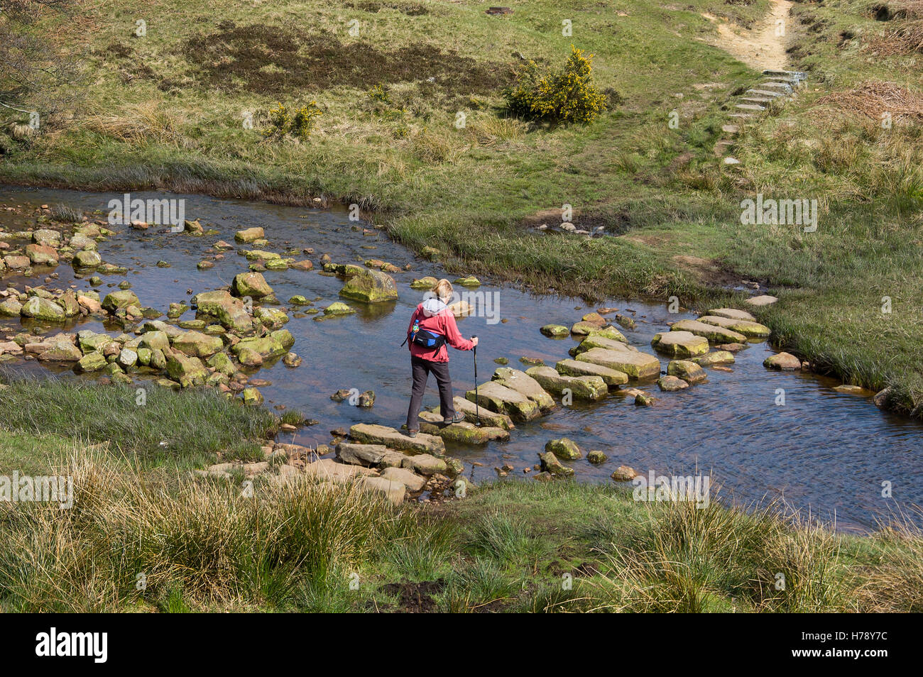 Wheeldale beck -Fotos und -Bildmaterial in hoher Auflösung – Alamy