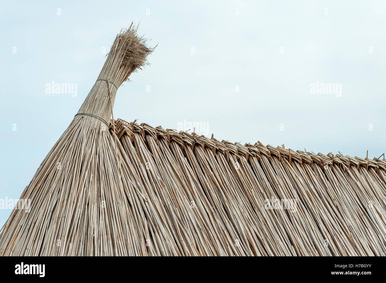 Dach reet traditionell -Fotos und -Bildmaterial in hoher Auflösung – Alamy