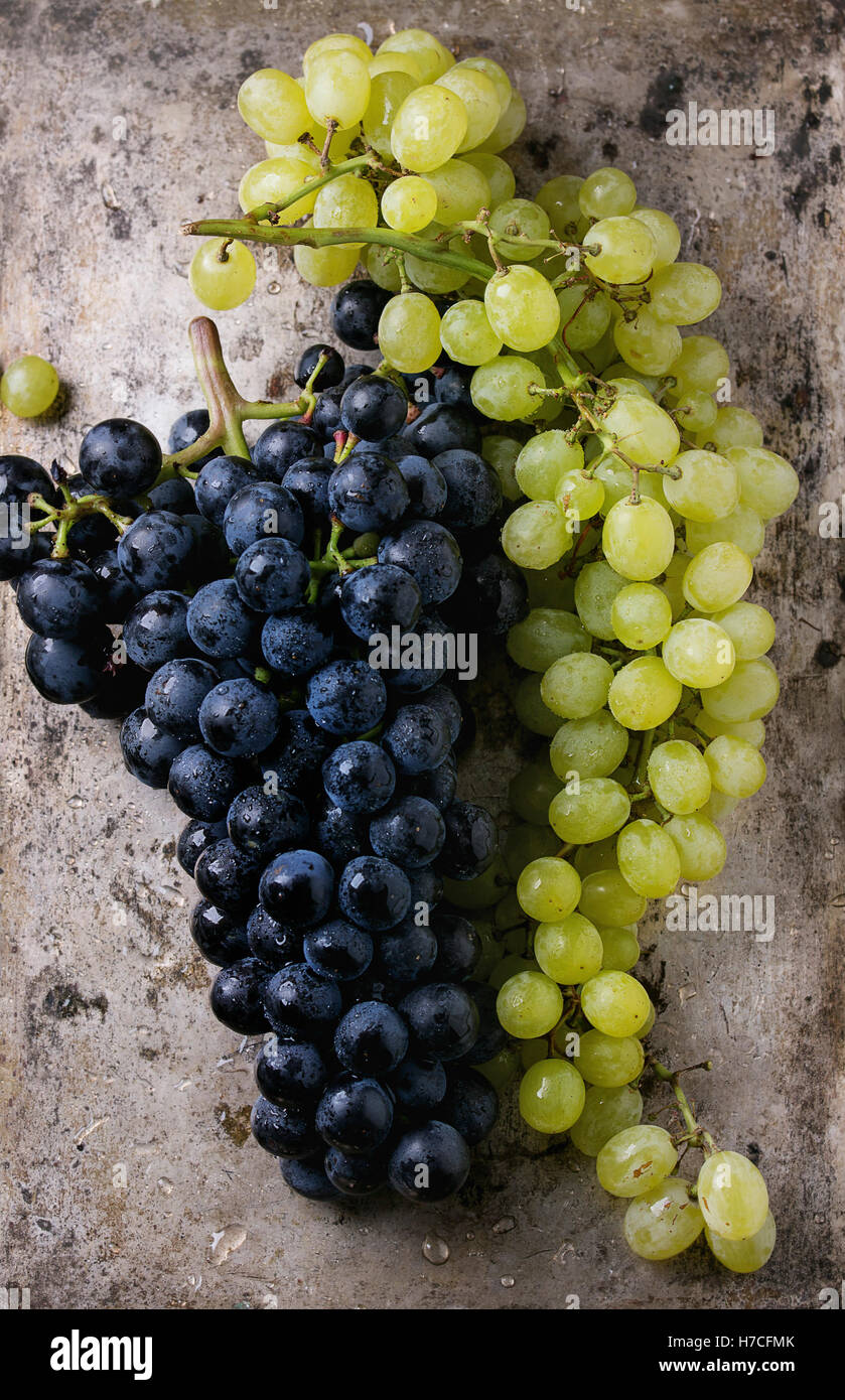 Variety grapevine -Fotos und -Bildmaterial in hoher Auflösung - Seite 7 ...