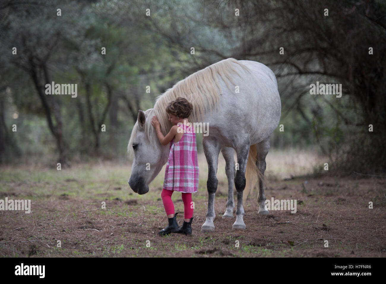 Pferdestall mädchen -Fotos und -Bildmaterial in hoher Auflösung - Seite ...
