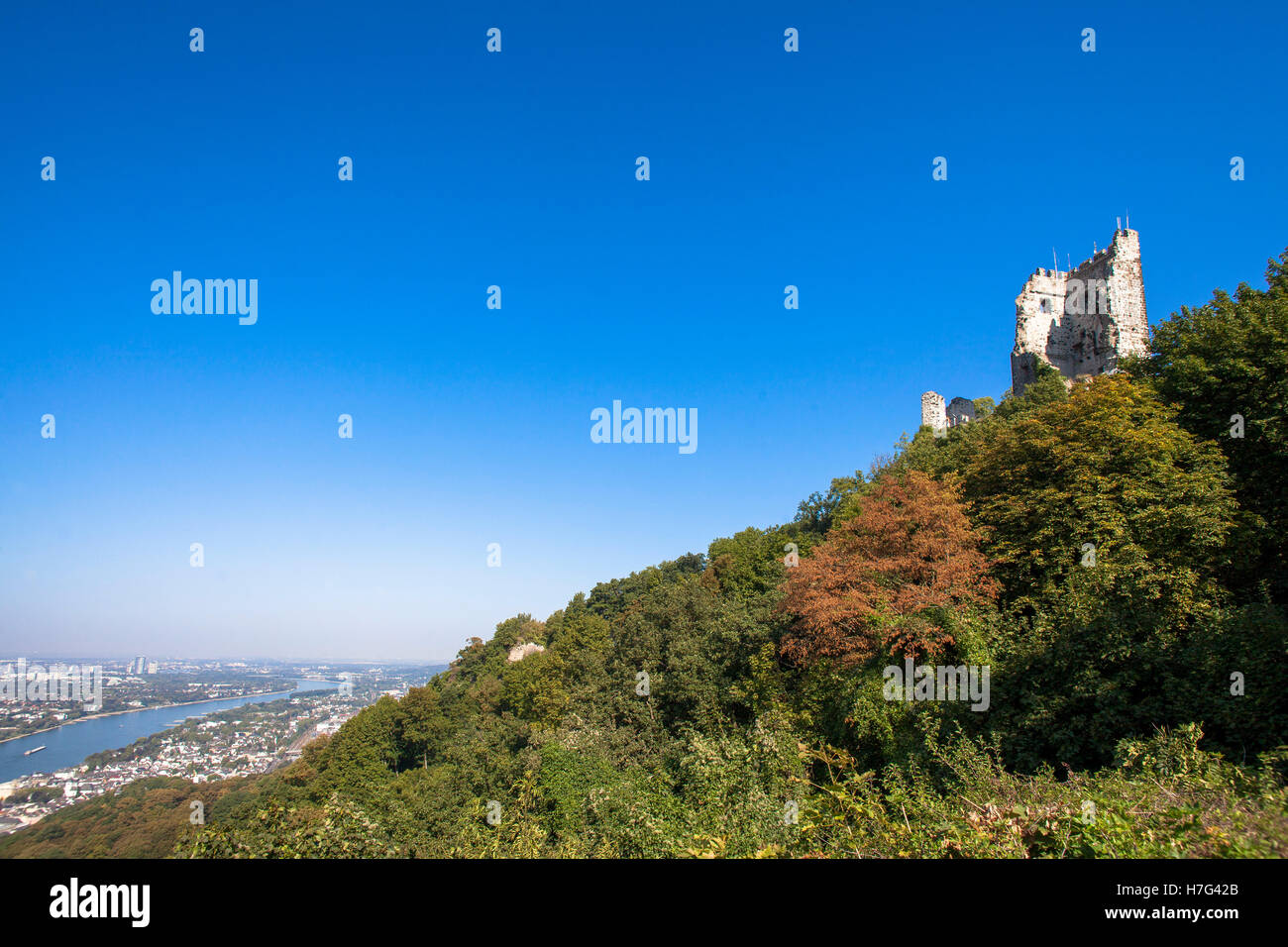 Burgruine am bergwald -Fotos und -Bildmaterial in hoher Auflösung – Alamy