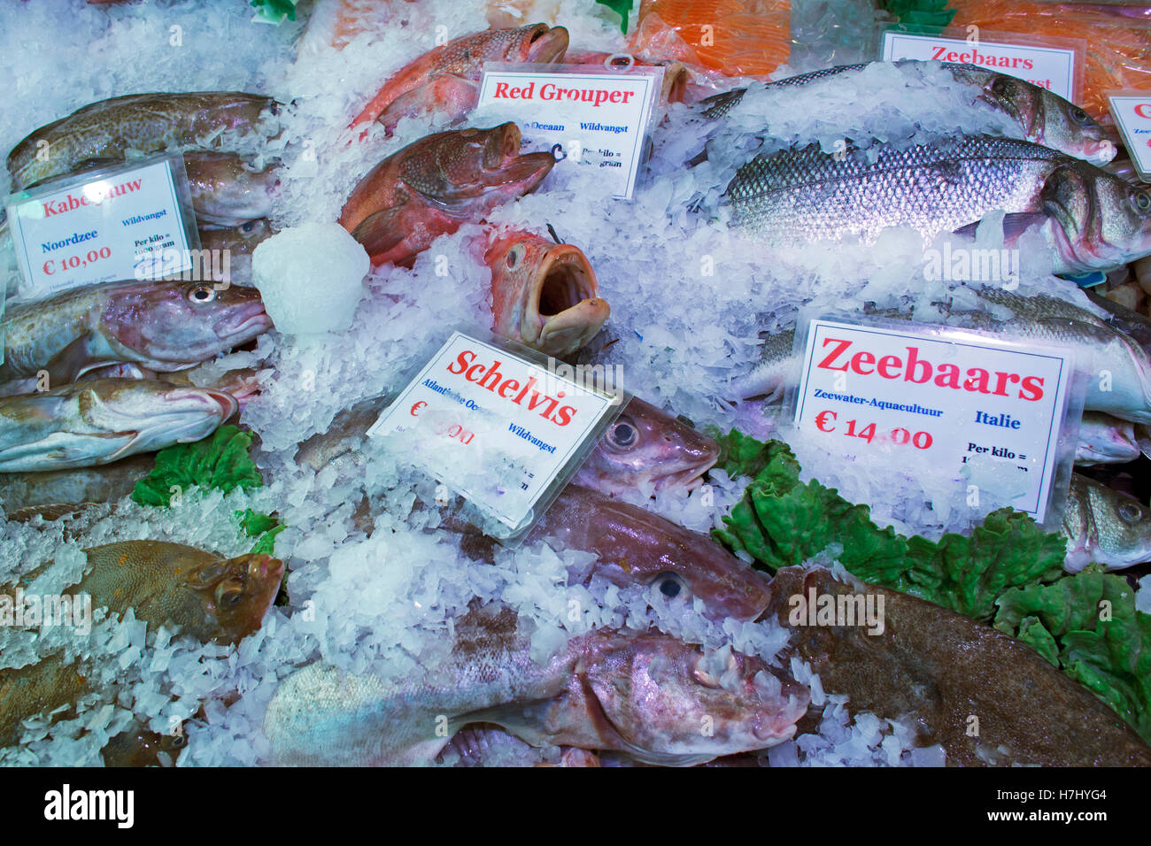 Fischfutter zu verkaufen -Fotos und -Bildmaterial in hoher Auflösung ...