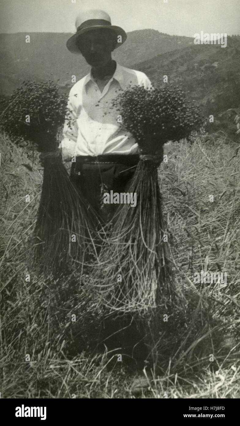 Sheaves of wheat -Fotos und -Bildmaterial in hoher Auflösung – Alamy