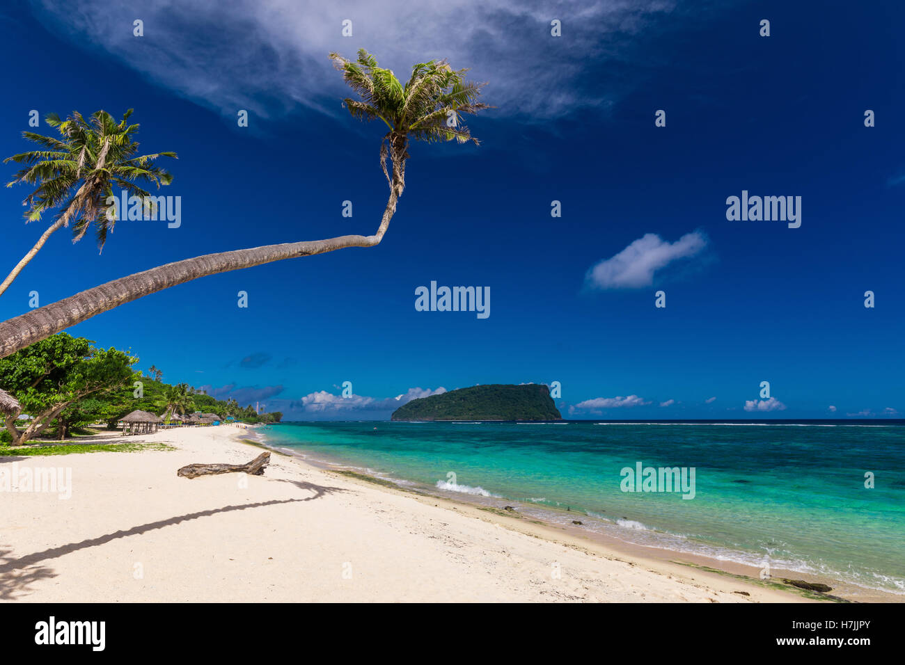 Lalomanu Tropenstrand auf Samoa-Insel mit Kokospalmen Stockfotografie ...