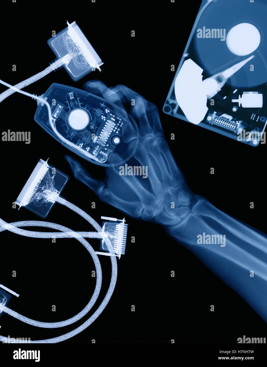 Maus skelett -Fotos und -Bildmaterial in hoher Auflösung – Alamy