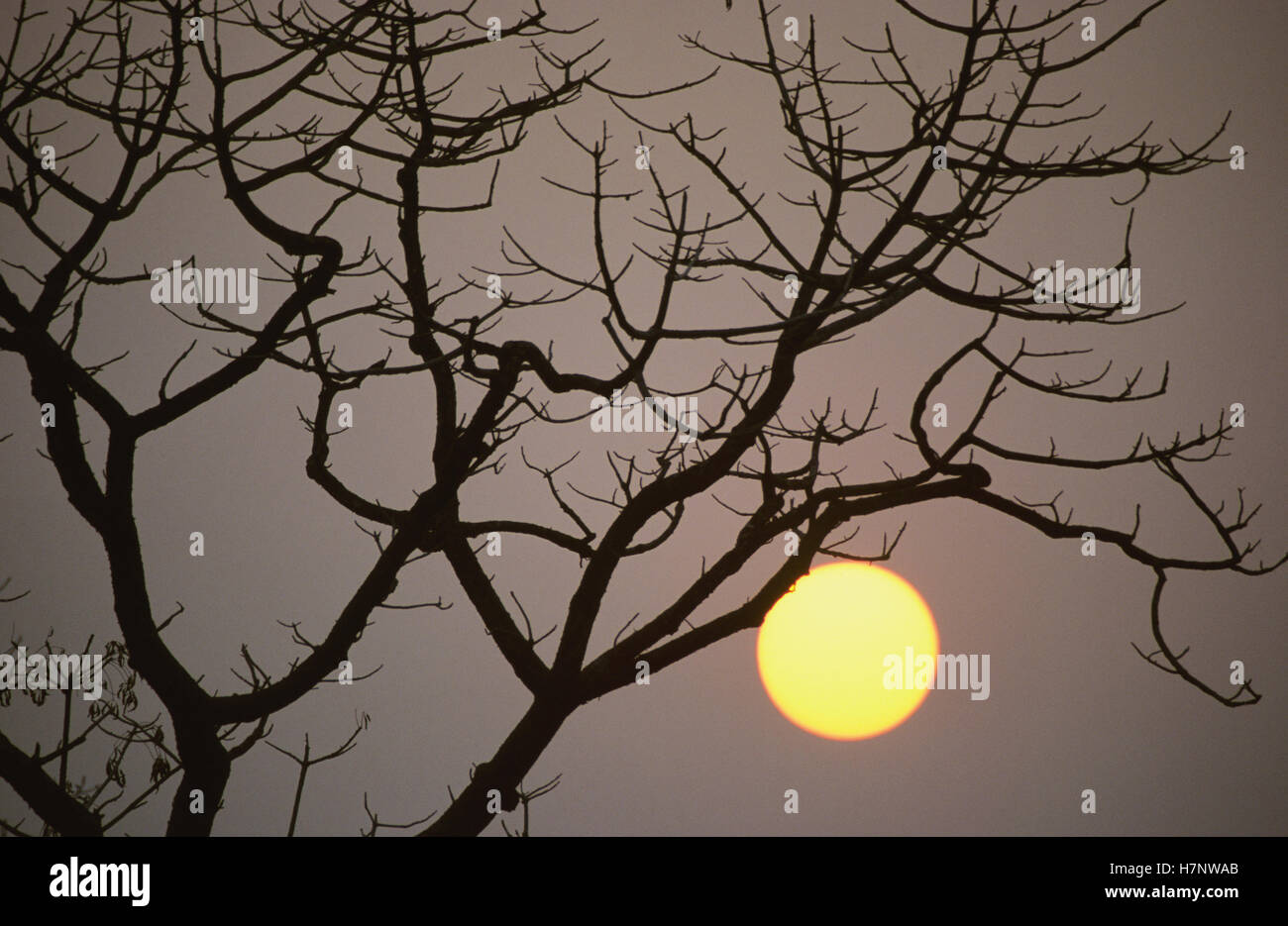 Nepal mystiker -Fotos und -Bildmaterial in hoher Auflösung – Alamy