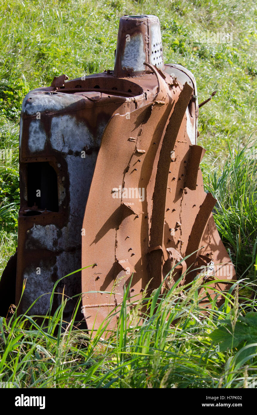 Alaska, Aleuten Inselkette, Ratte Inseln Kiska Insel (Aleuten ...