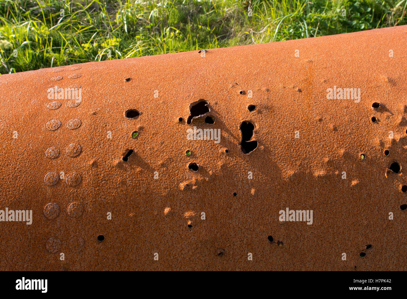 Alaska, Aleuten Inselkette, Ratte Inseln Kiska Insel (Aleuten ...