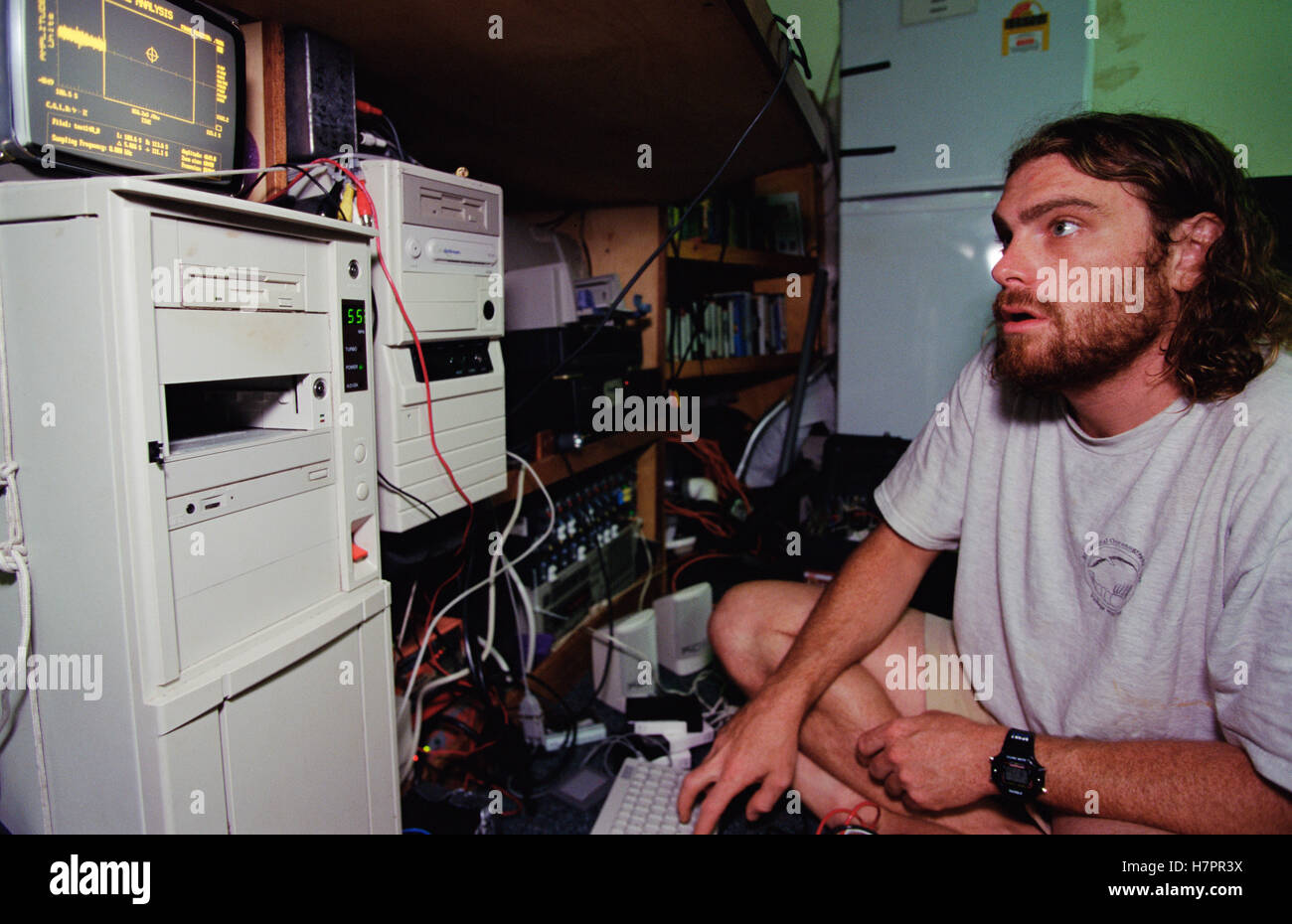 Zwerg Zwergwal (Balaenoptera Acutorostrata) Forscher Jason Gedamke ...