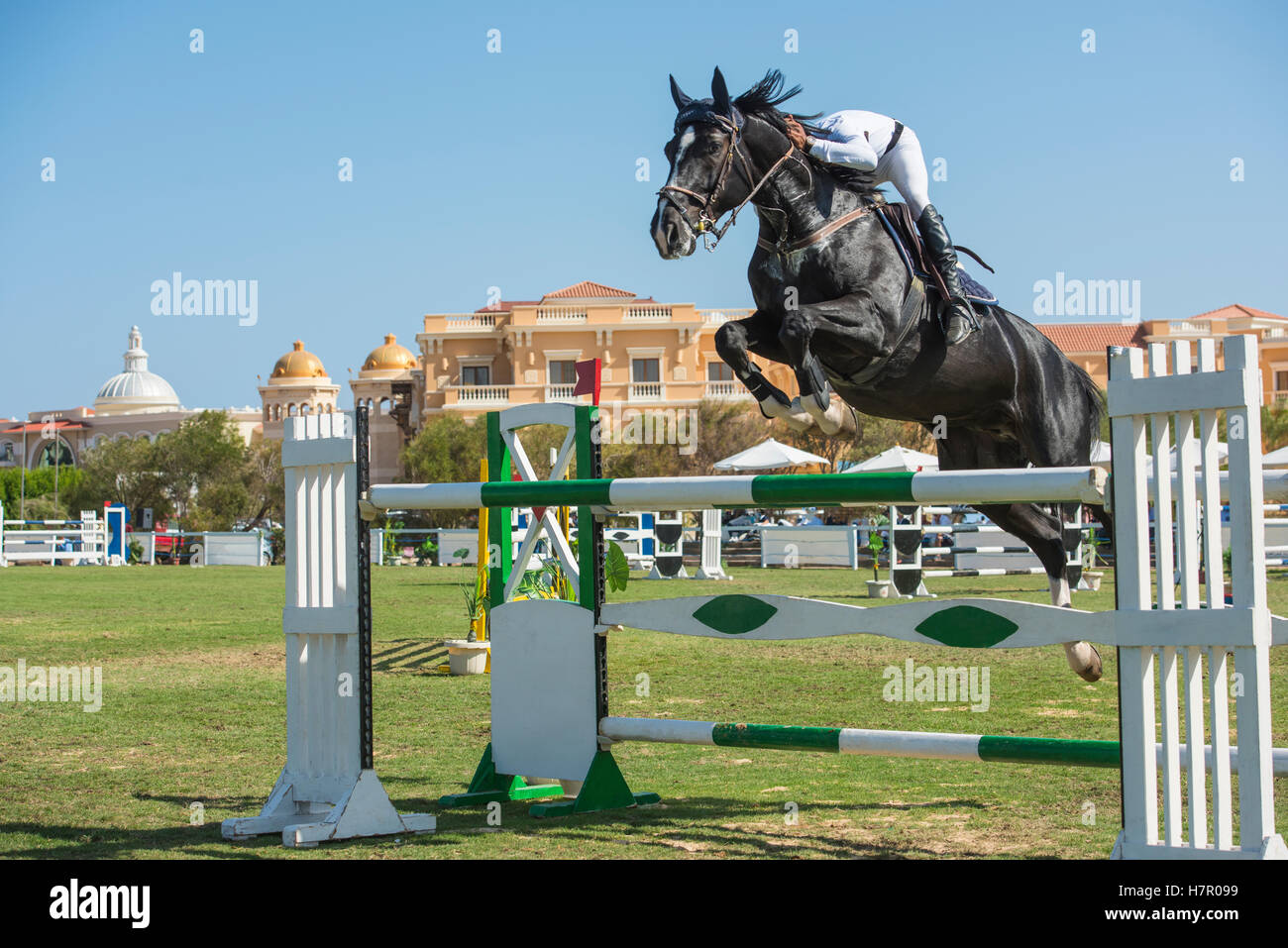 Schwarzer reiter, der vorbei springt -Fotos und -Bildmaterial in hoher ...