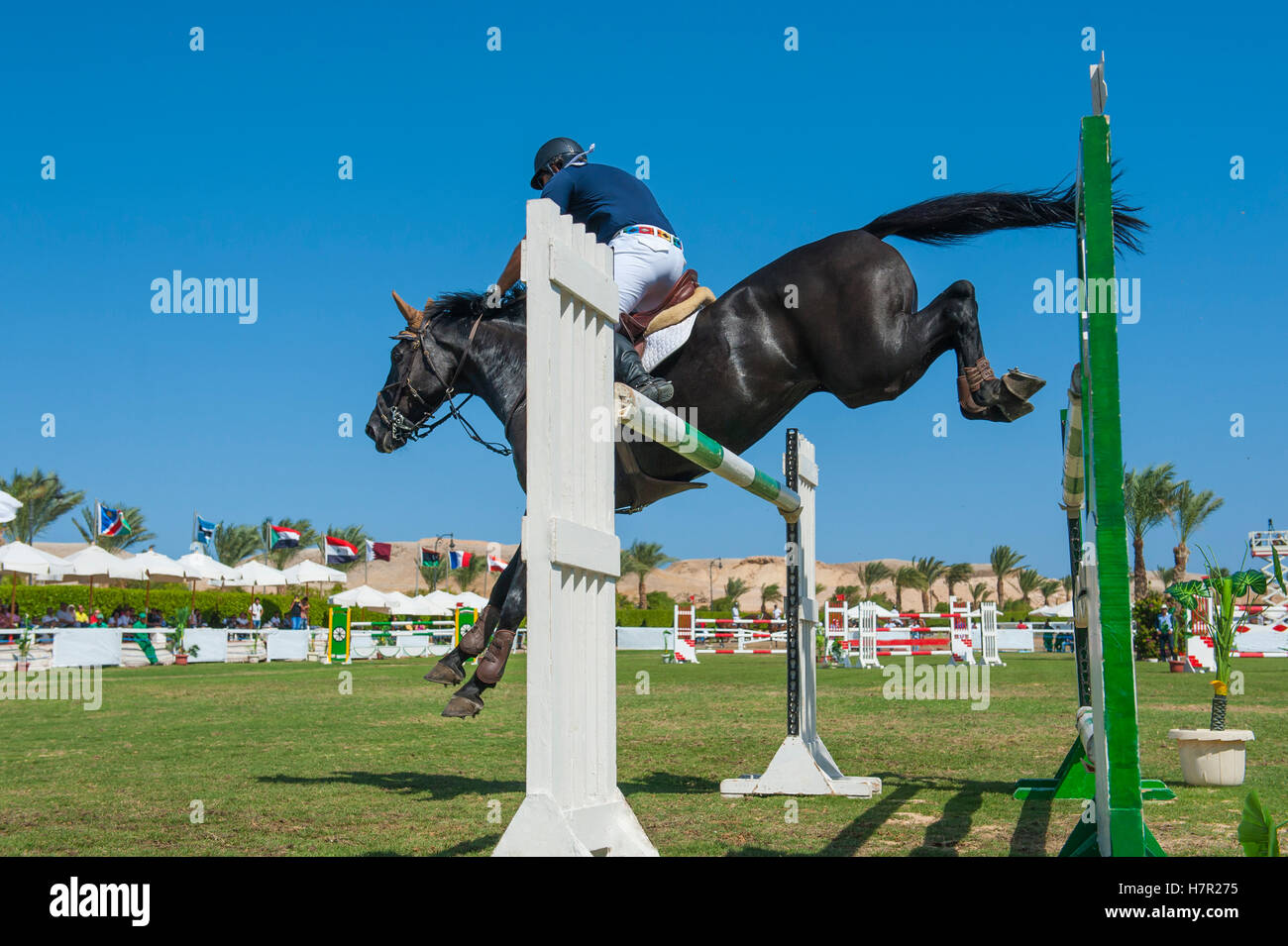 Schwarzer reiter, der vorbei springt -Fotos und -Bildmaterial in hoher ...