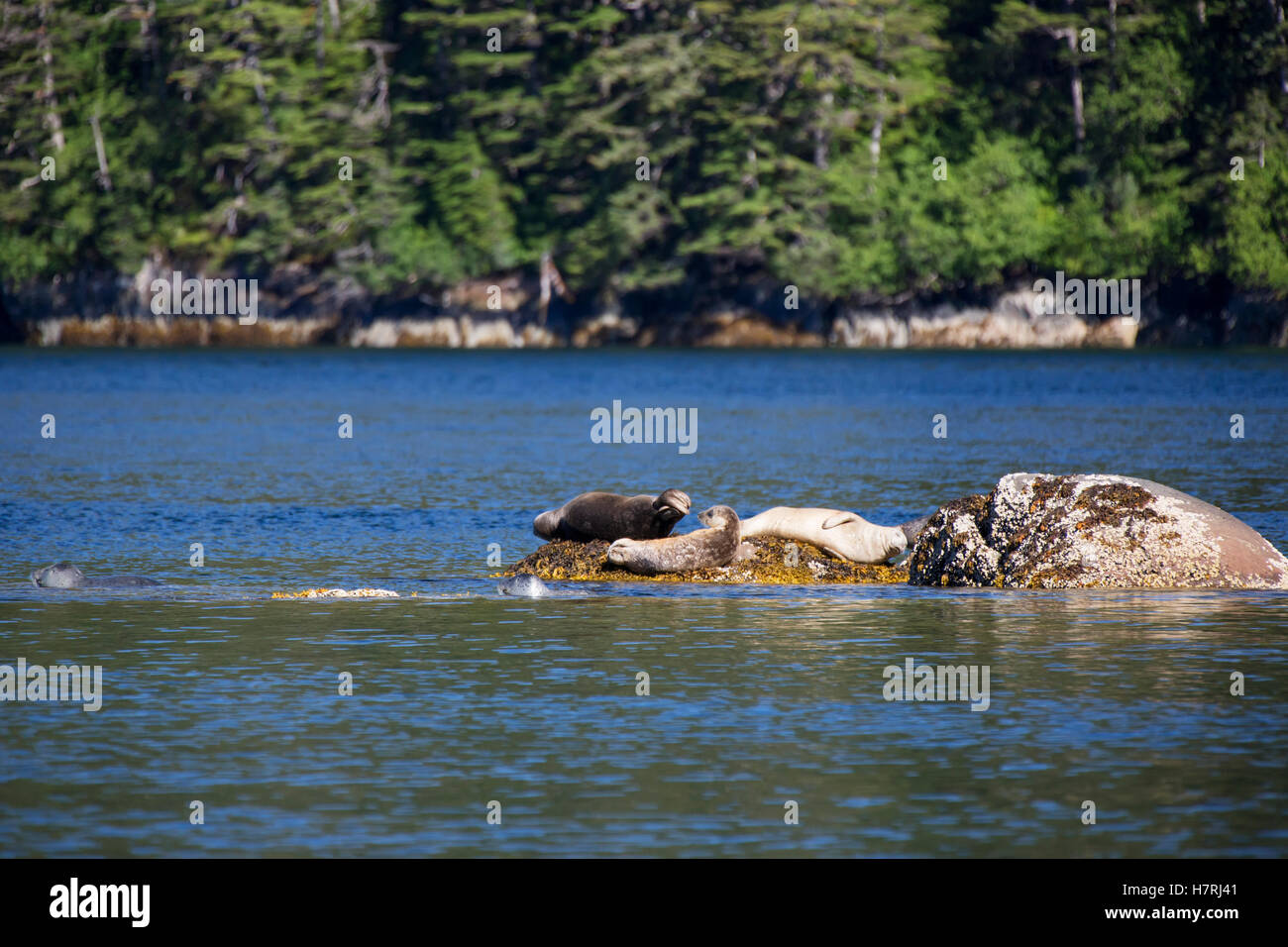 Hafen von culross -Fotos und -Bildmaterial in hoher Auflösung – Alamy