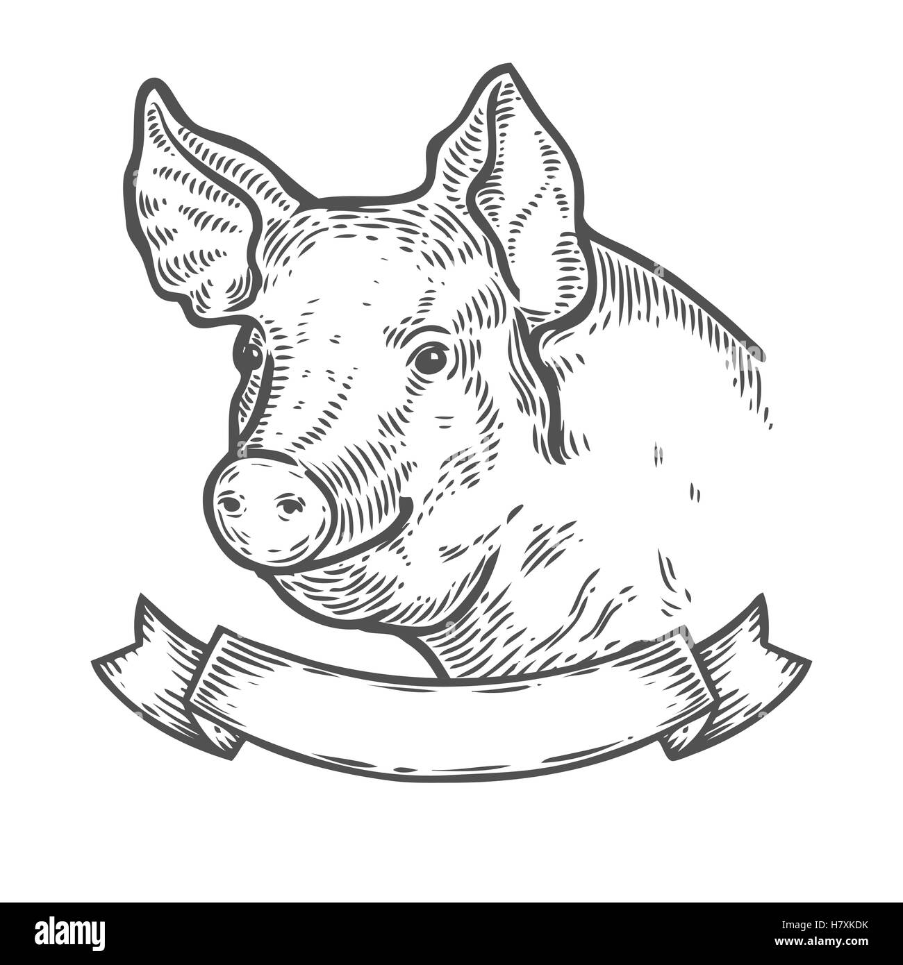 Schinkenzeichnung Schwein Für Fleisch Schwarzweiß Stockfotos Und