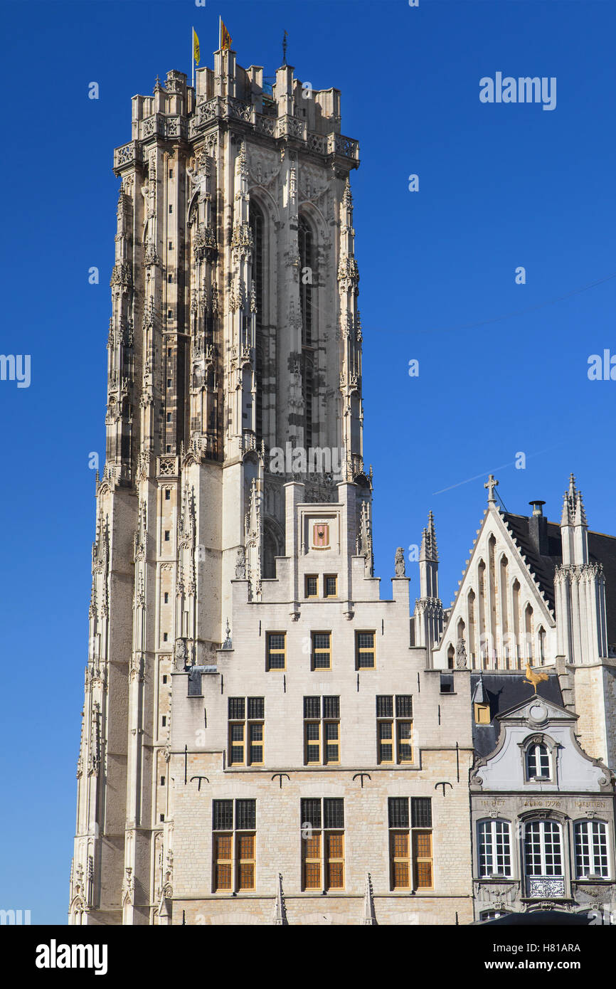 Saint rumbolds cathedral in mechelen -Fotos und -Bildmaterial in hoher ...