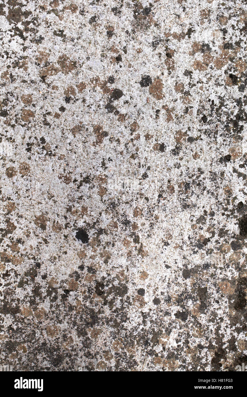 Gebeizter betonboden -Fotos und -Bildmaterial in hoher Auflösung – Alamy