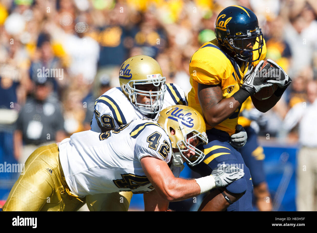Patrick larimore -Fotos und -Bildmaterial in hoher Auflösung – Alamy
