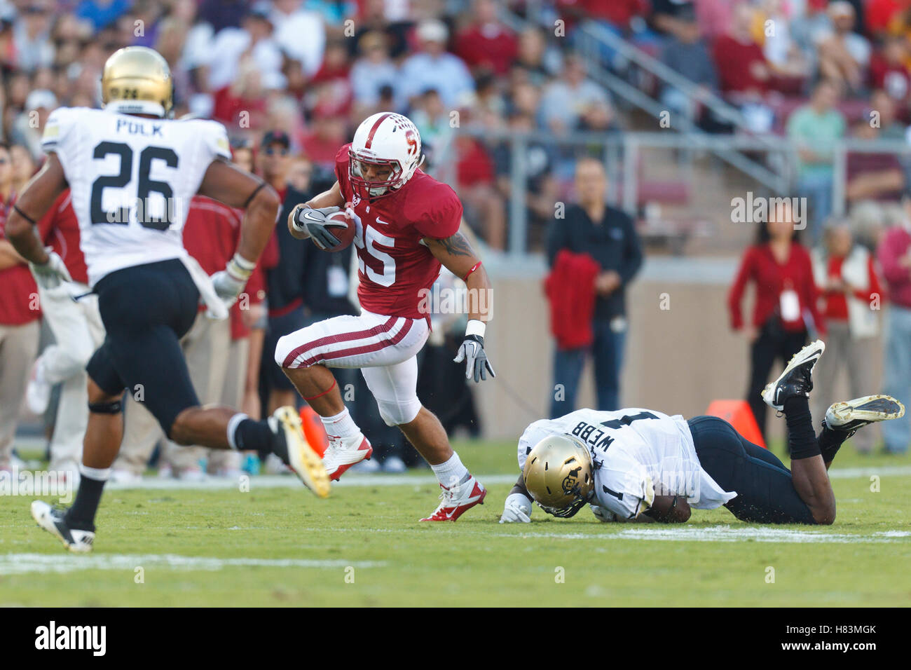 Tyler gaffney -Fotos und -Bildmaterial in hoher Auflösung – Alamy