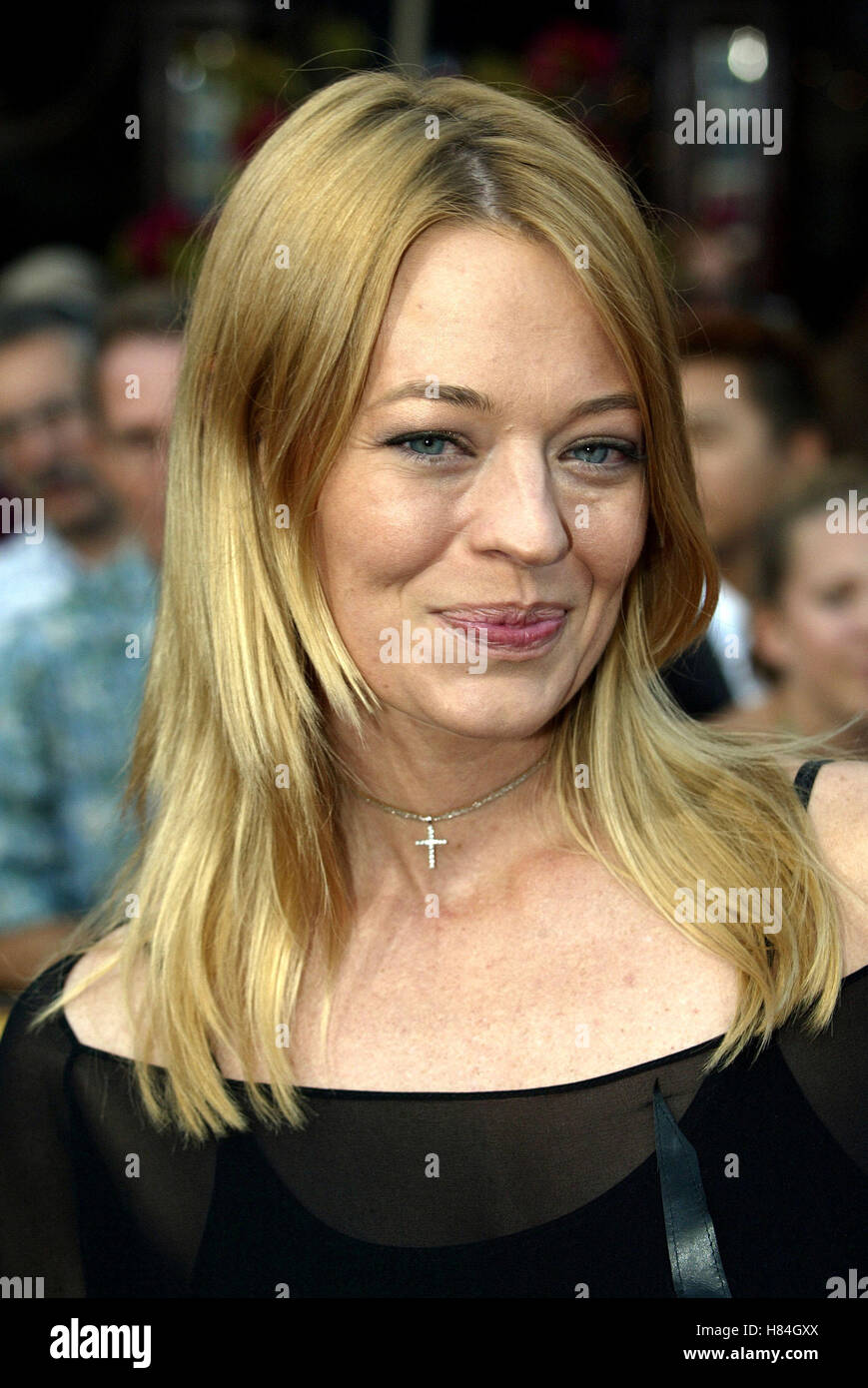 Jeri ryan -Fotos und -Bildmaterial in hoher Auflösung – Alamy