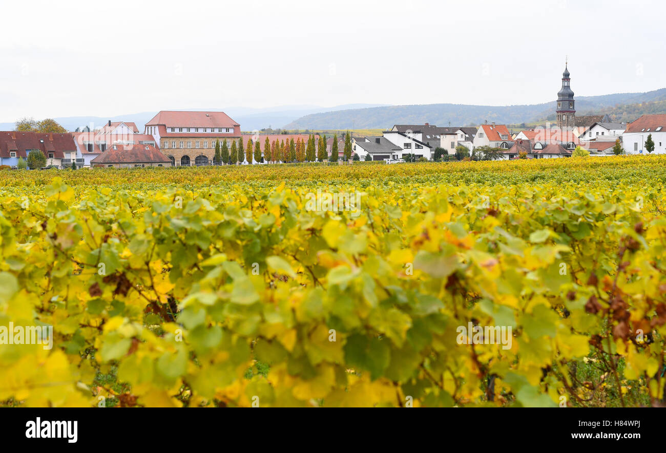 Kallstadt, germany -Fotos und -Bildmaterial in hoher Auflösung – Alamy
