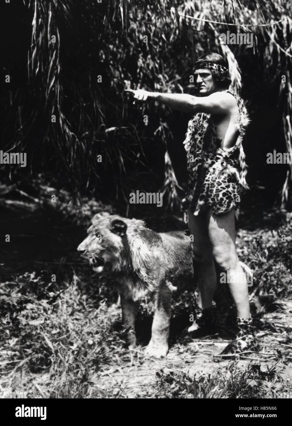 Tarzan Und der Goldene Löwe, (TARZAN und der goldene Löwe) USA 1927 ...