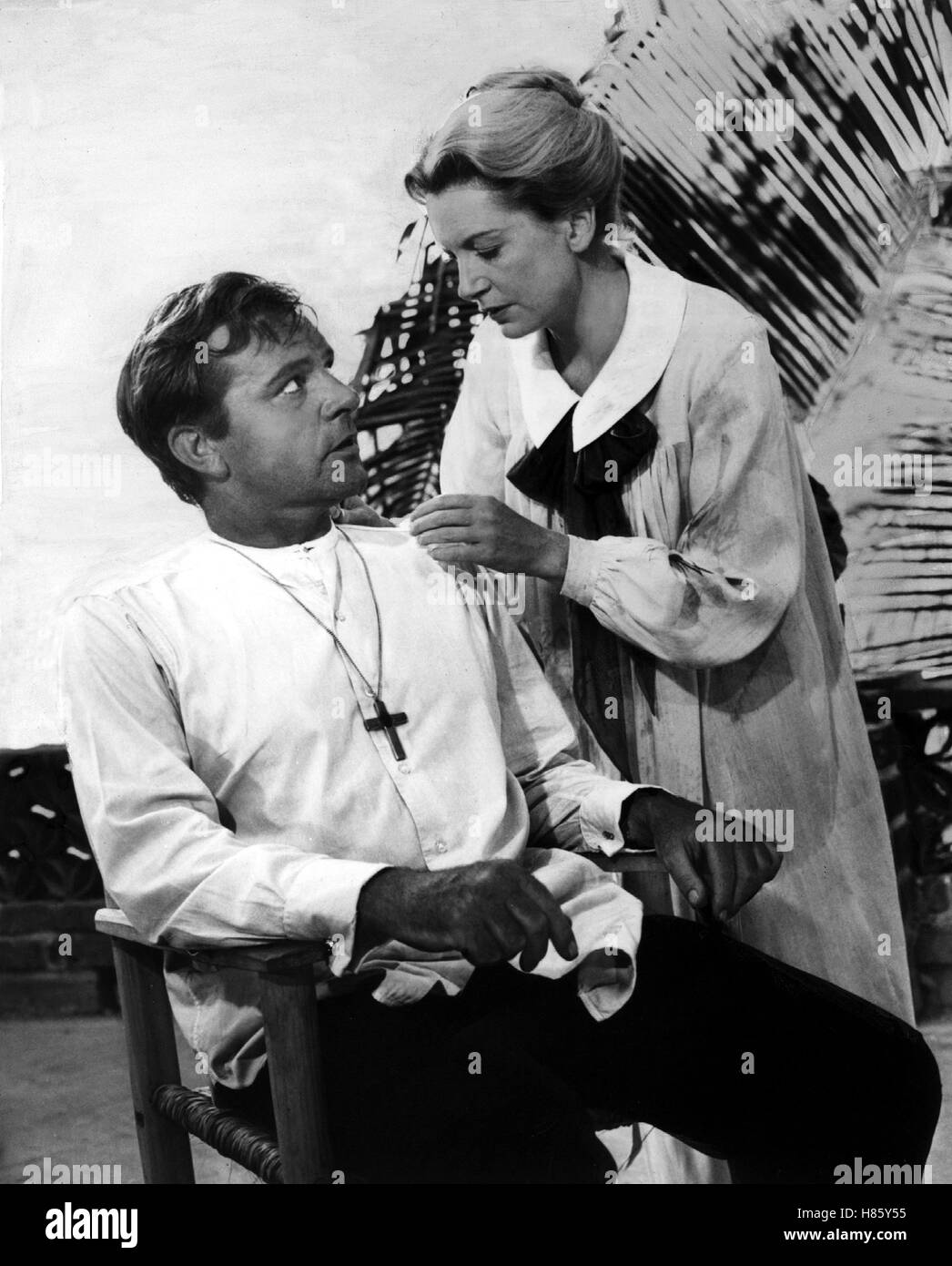 Die nacht des leguan -Fotos und -Bildmaterial in hoher Auflösung – Alamy