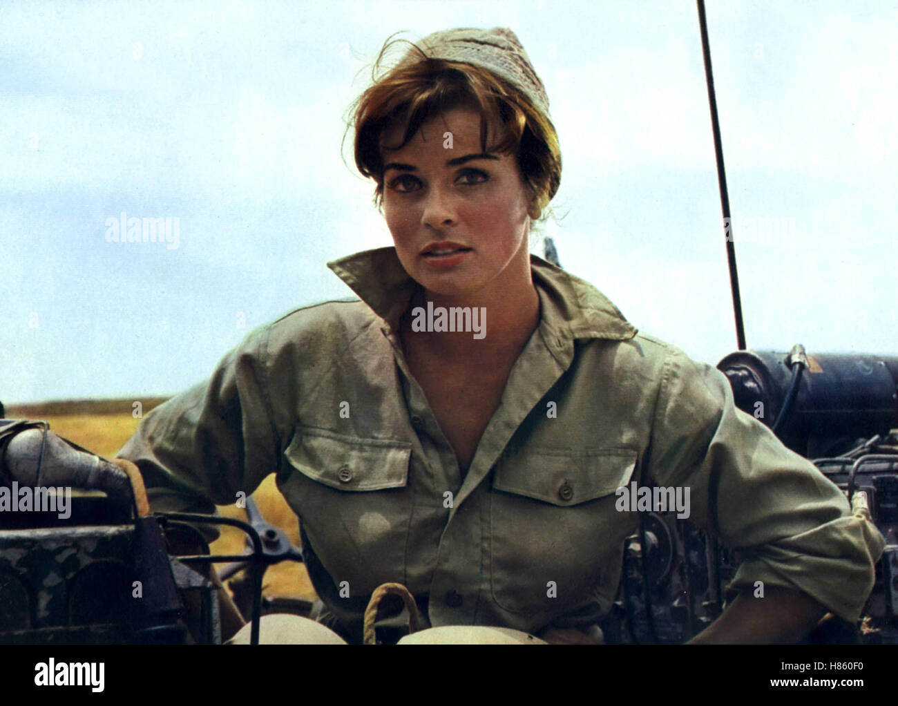 Der Schatten des Giganten (CAST A GIANT SHADOW) USA 1966, Regie ...