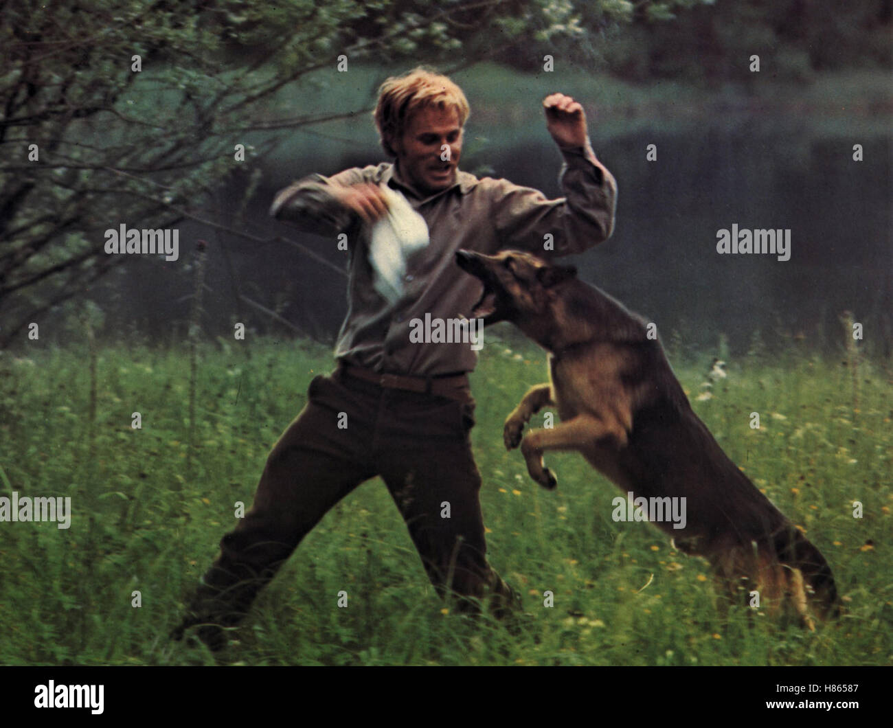 Jack Londons Wolfsblut, (ZANNA BIANCA) IT-F-E 1973, Regie: Lucio Fulci ...