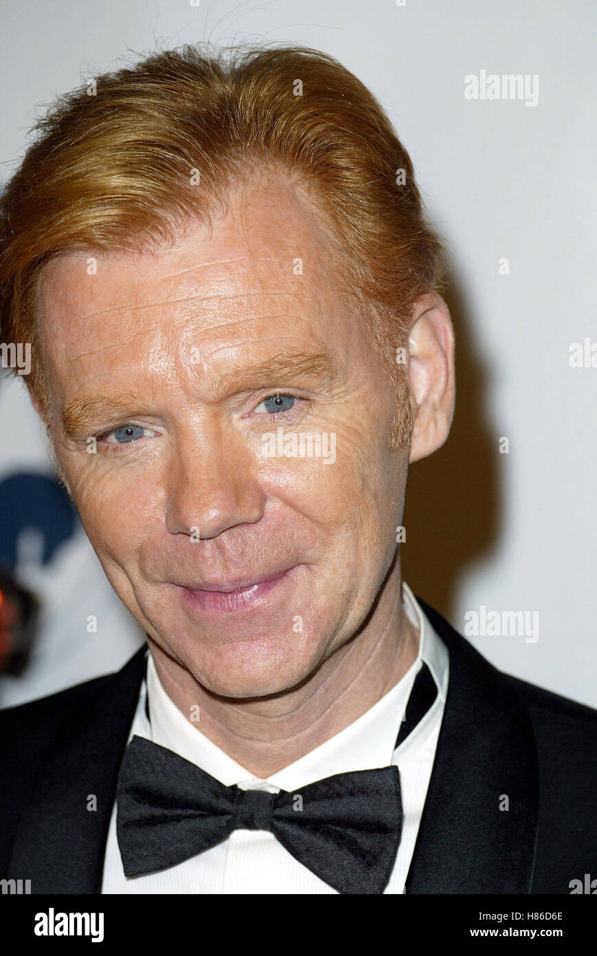 David caruso -Fotos und -Bildmaterial in hoher Auflösung – Alamy