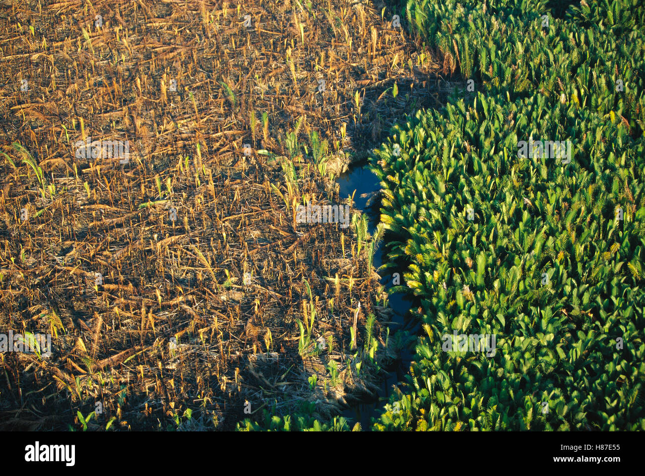 Mahakam delta Stockfotos und -bilder Kaufen - Alamy
