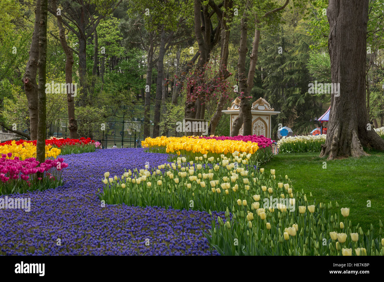 Emirgan Park in Istanbul, Türkei Stockfotografie - Alamy