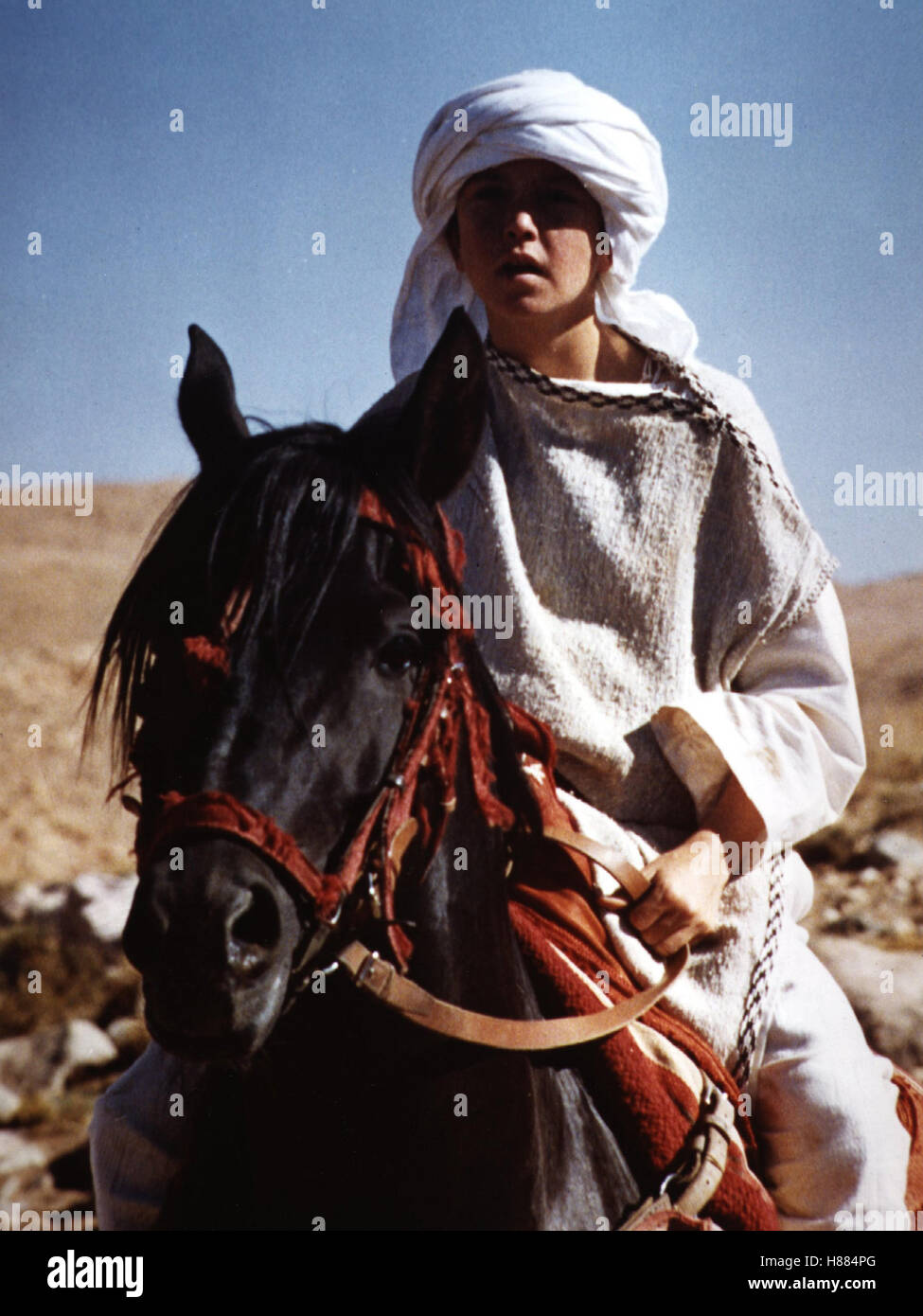 Der schwarze hengst kehrt zurück -Fotos und -Bildmaterial in hoher ...