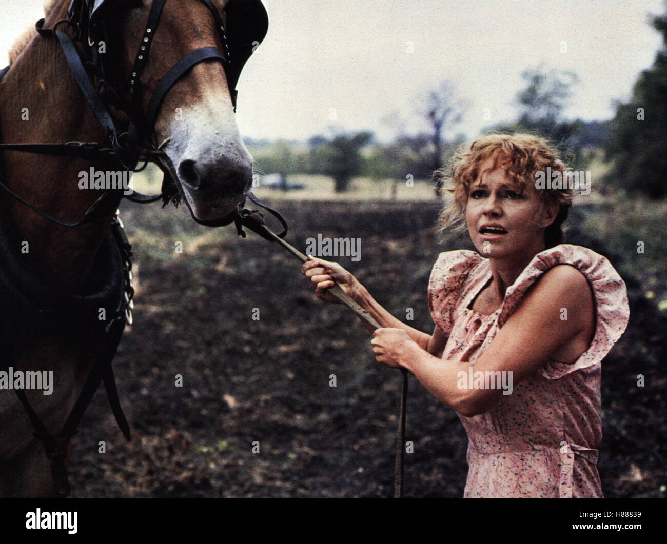 Sally benton -Fotos und -Bildmaterial in hoher Auflösung – Alamy