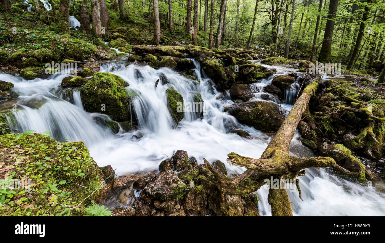 Röthbachfall waterfall -Fotos und -Bildmaterial in hoher Auflösung – Alamy