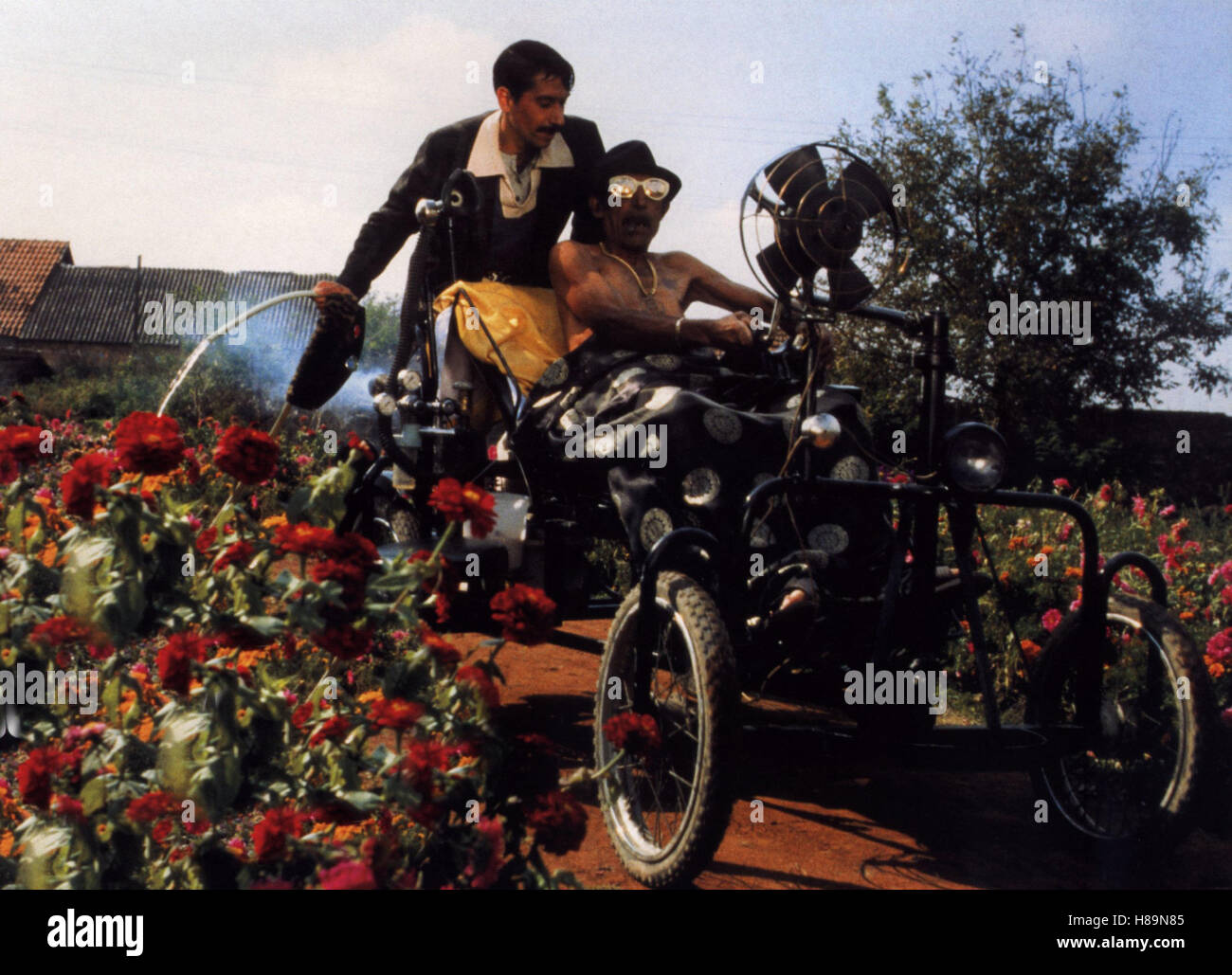 Beli macor -Fotos und -Bildmaterial in hoher Auflösung – Alamy